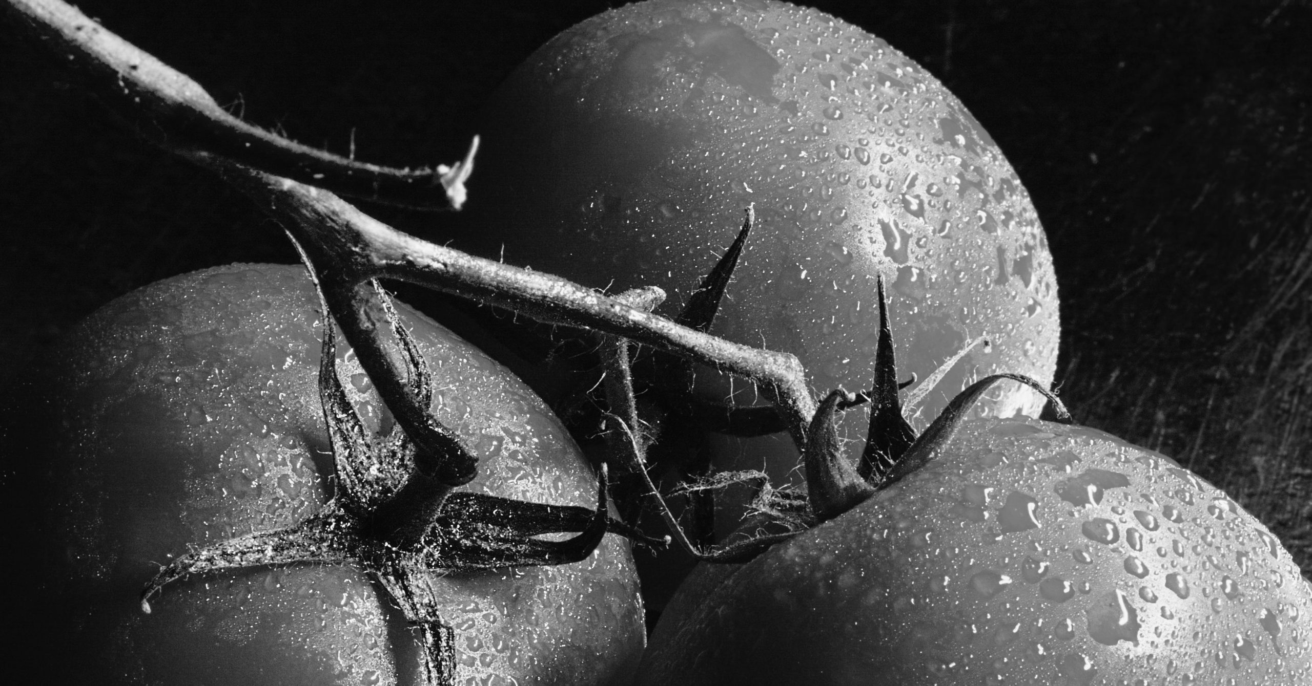 Killer Tomatoes! Exploring The Pomodoro Technique - Gravity 9